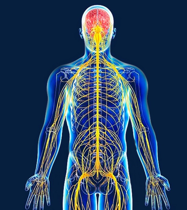 LE NERF VAGUE Claude Girault